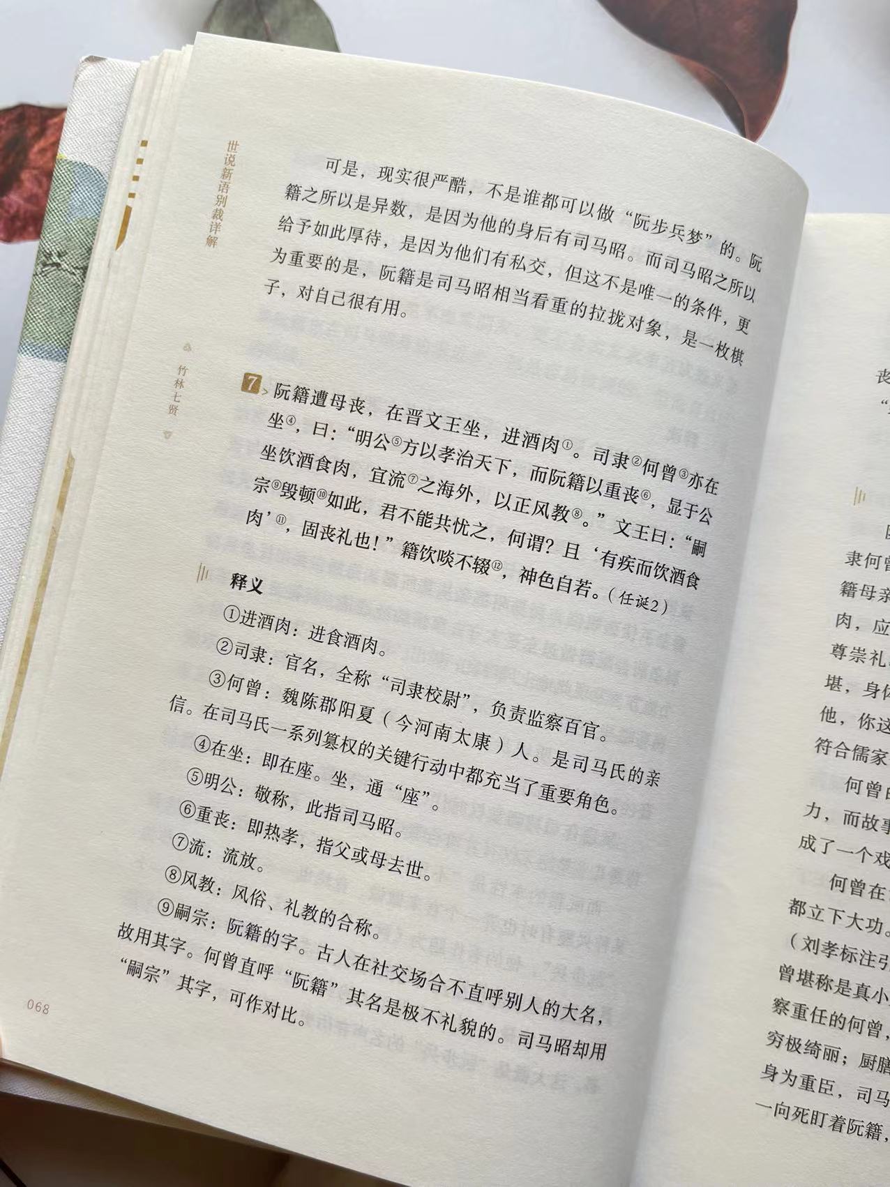 "Shi Shuo Xin Yu Bie Cai Detailed Explanation": The gossip and ...