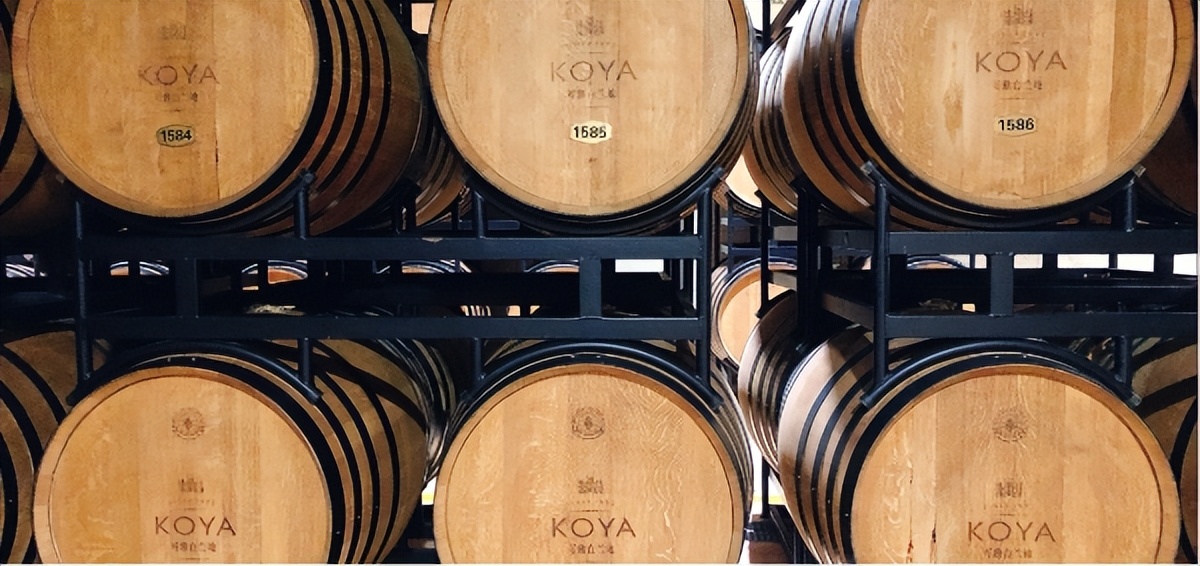 Koya Brandy——to be the "perfume" of Chinese men - iNEWS