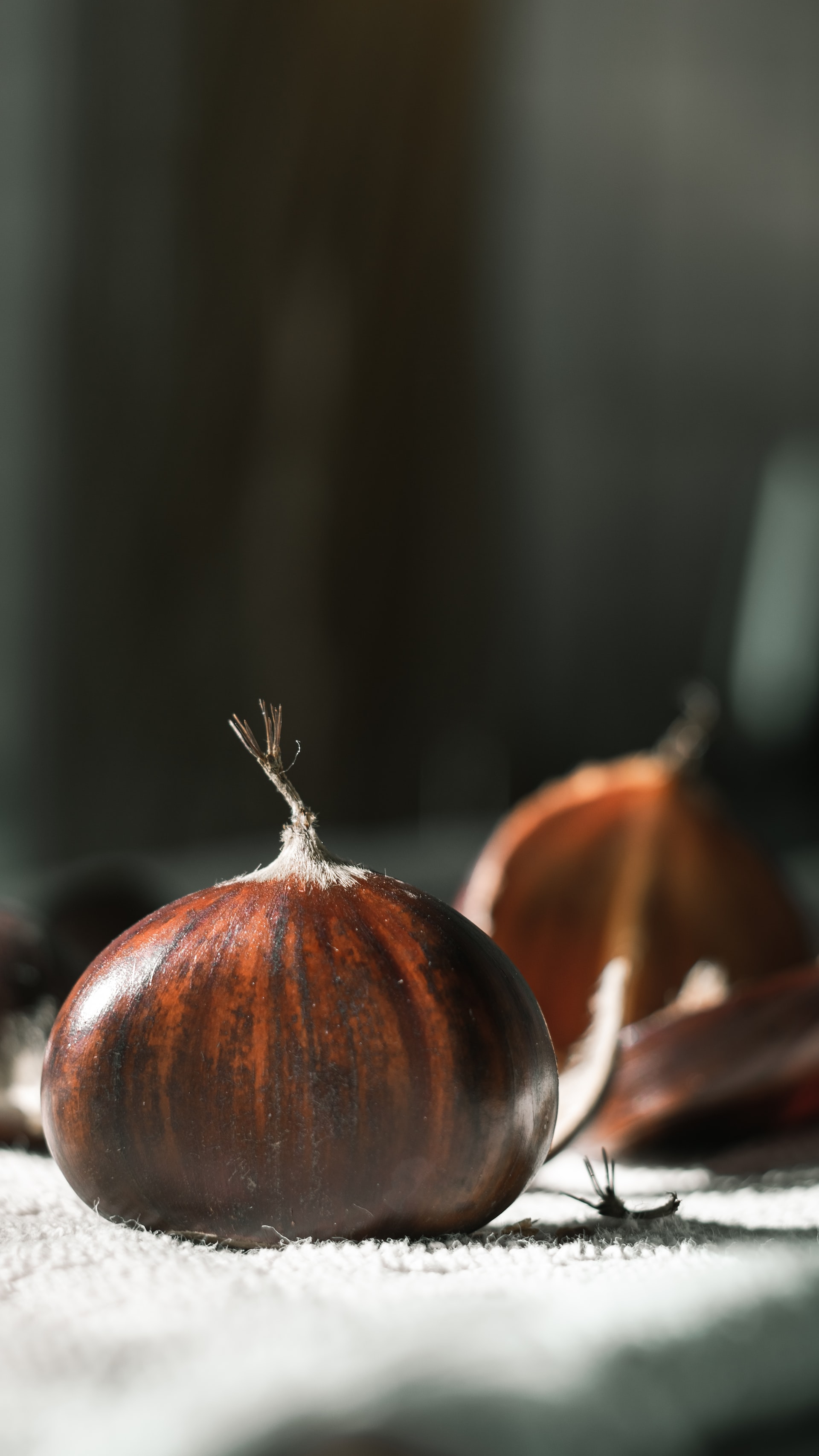 Autumn of Appetite: Roasted and Shelled Chestnuts the Right Way ...