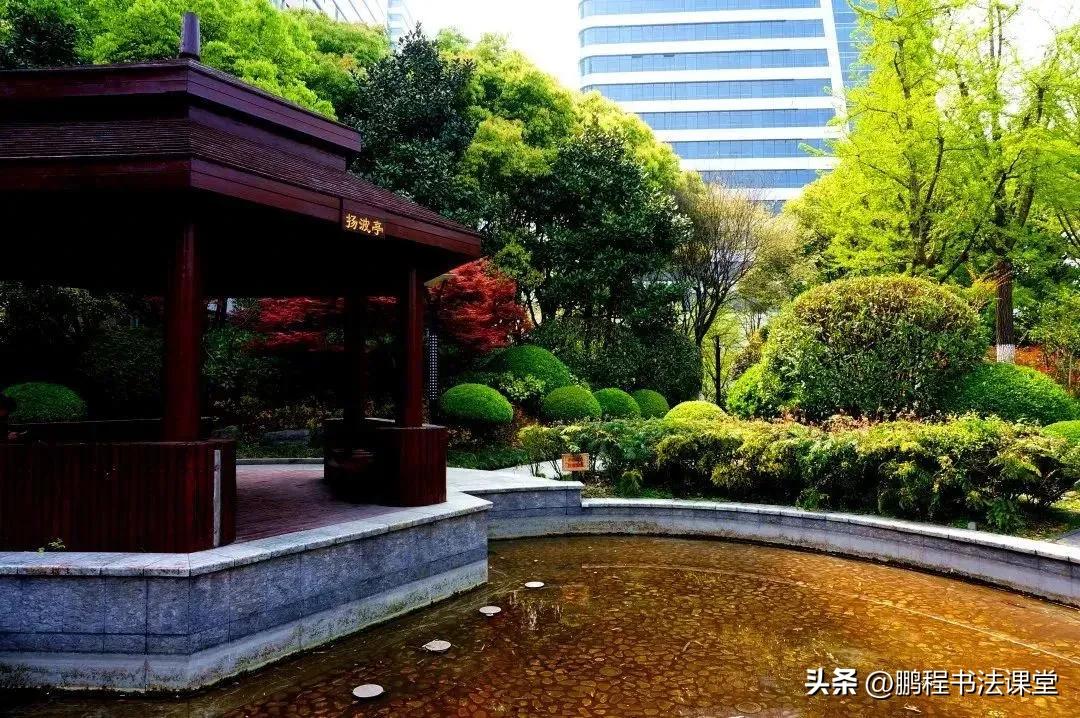 "Travel in Shanghai" Green Space in the Nightless City: Colorful Autumn ...