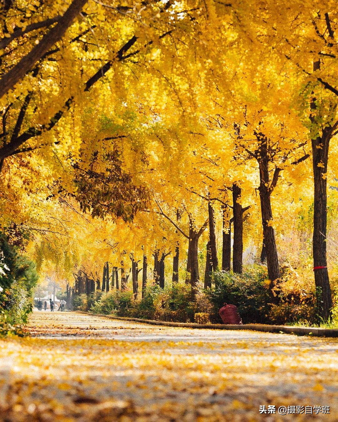 7 landscape photography formulas for professional photographers ...