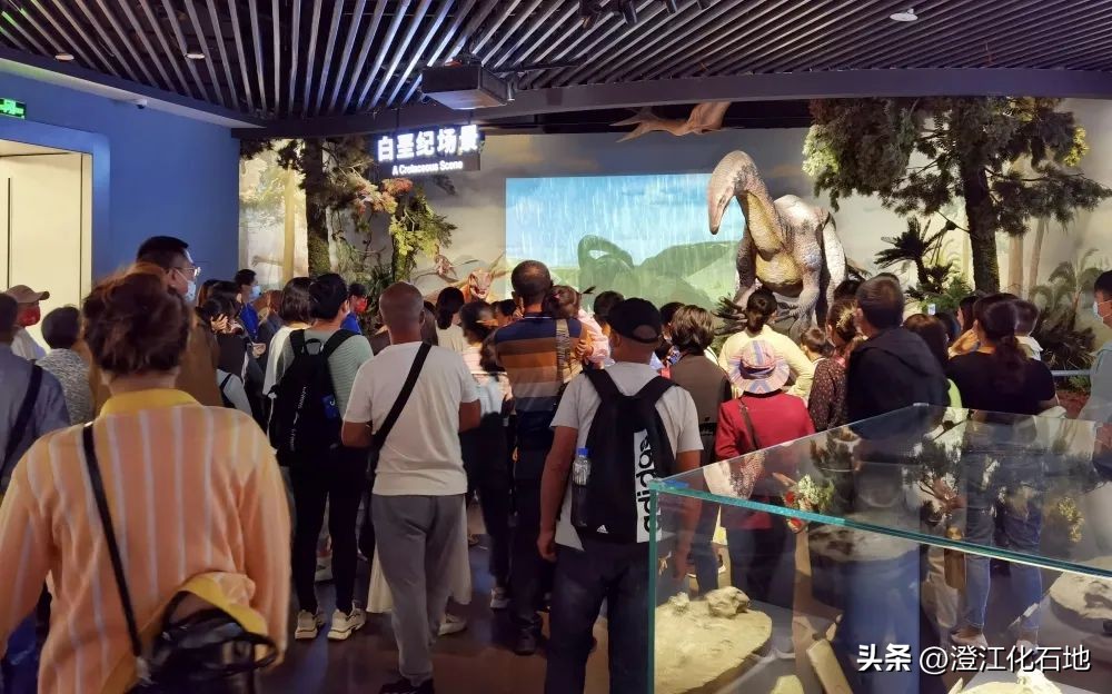 Experts and scholars walk into Chengjiang Fossil Site World Natural ...