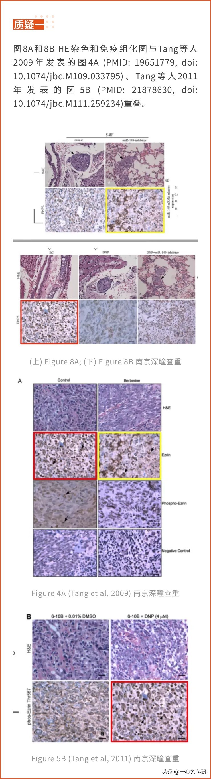 The SCI papers of Hunan Cancer Hospital continue to be controversial ...