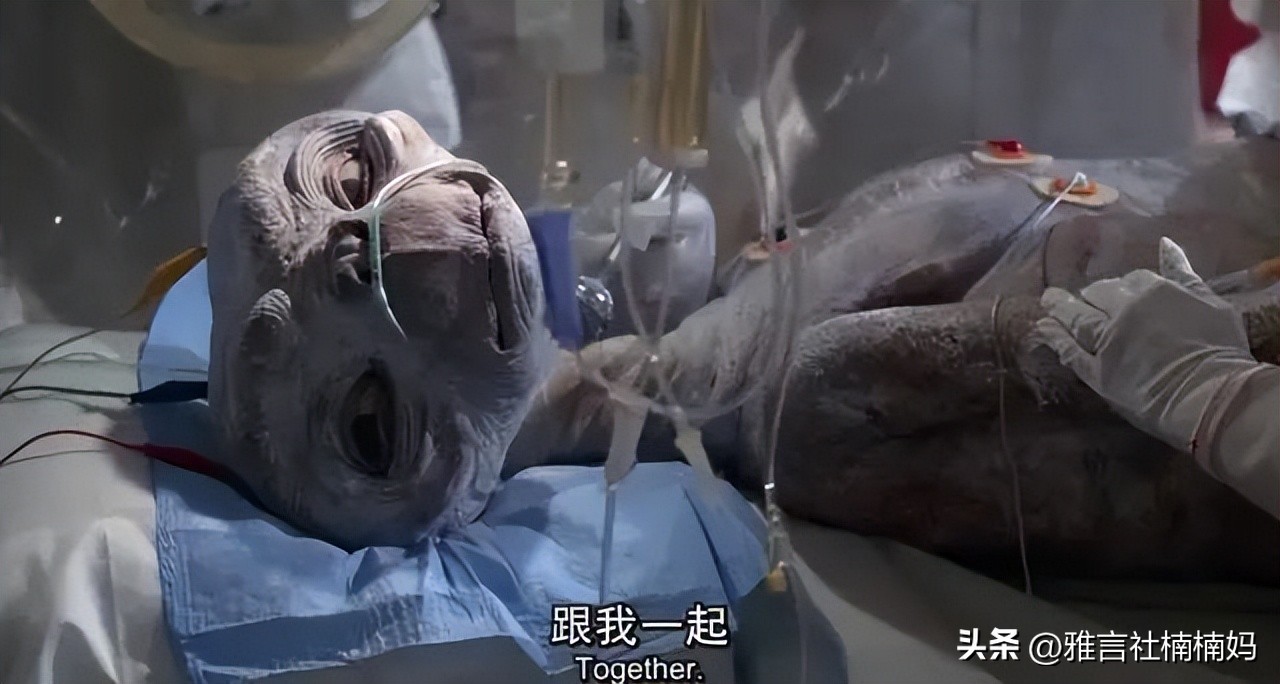 "Amazing accident" makes "ET Alien" live again! - iMedia