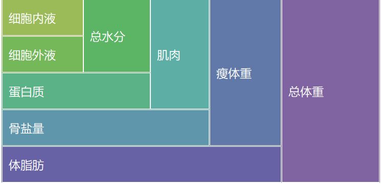 "New Product" Chipsea Technology BIA AFE CS1253 - iNEWS