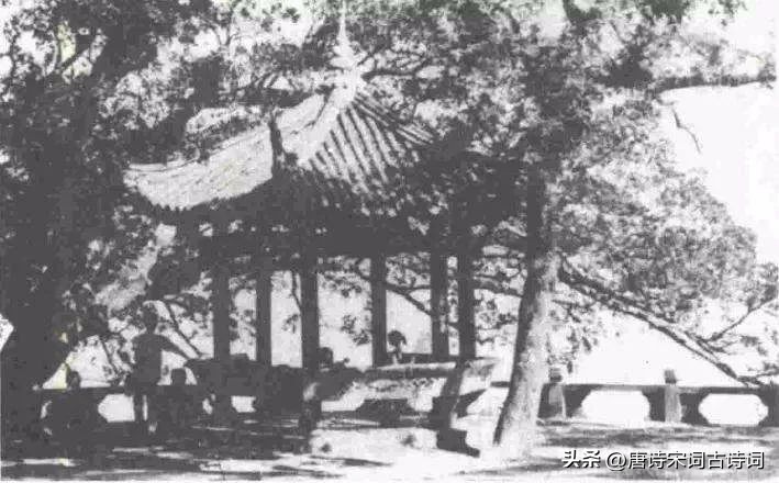 Xie Gongting: There is a lonely island in Jiangting, and the traces ...