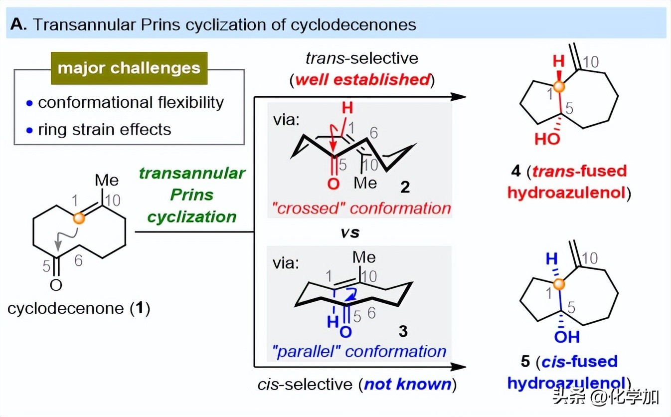 Synthesis of natural products by conformation-controlled cross-ring ...