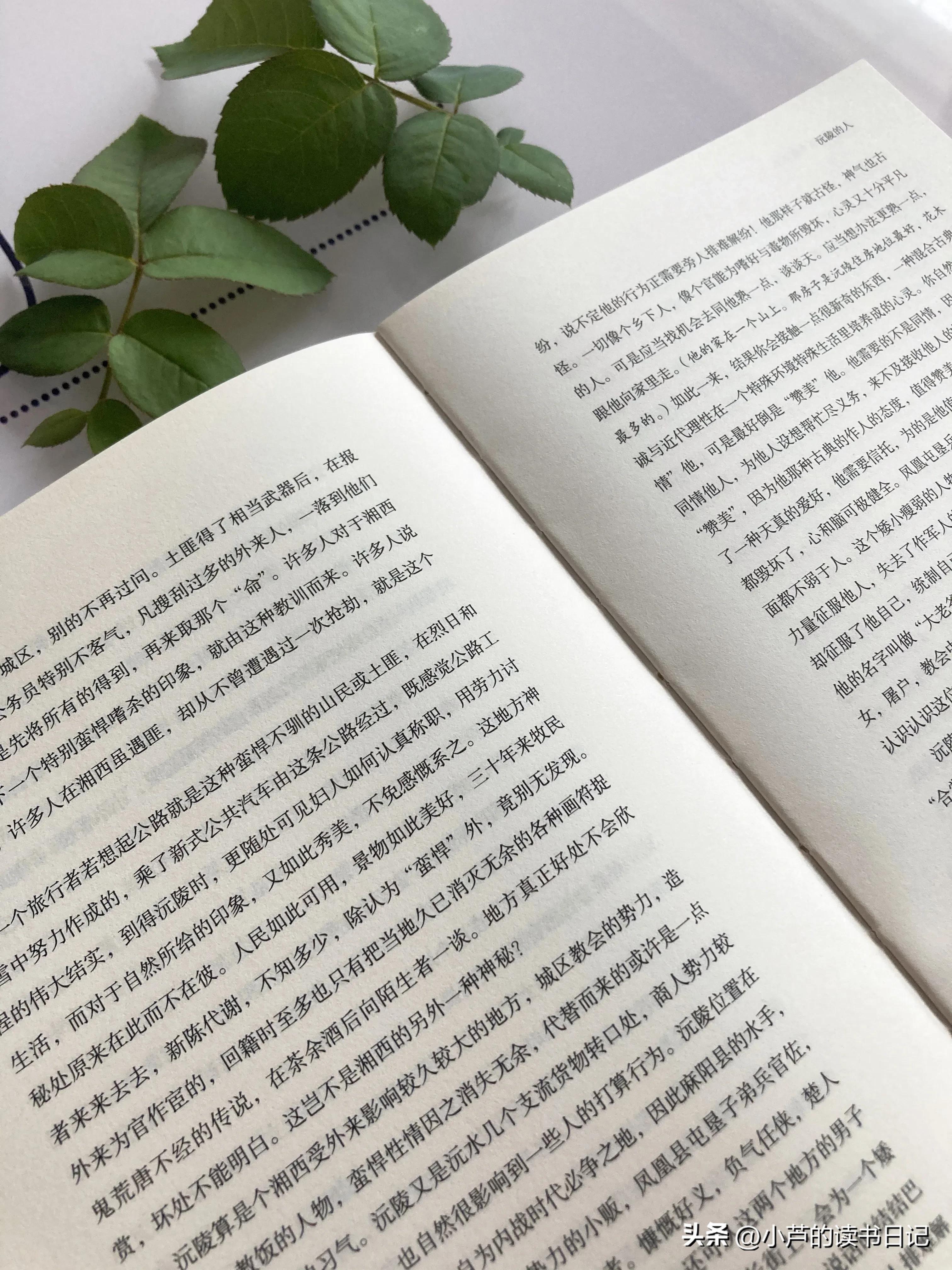 "Selected Essays of Liu Guang Shen Congwen" - iMedia