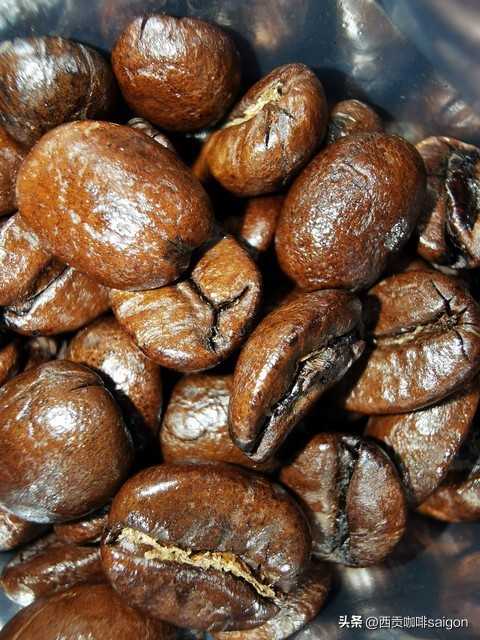 Medium Roast vs. Dark Roast: Which Bean Is Right For You? - iNEWS