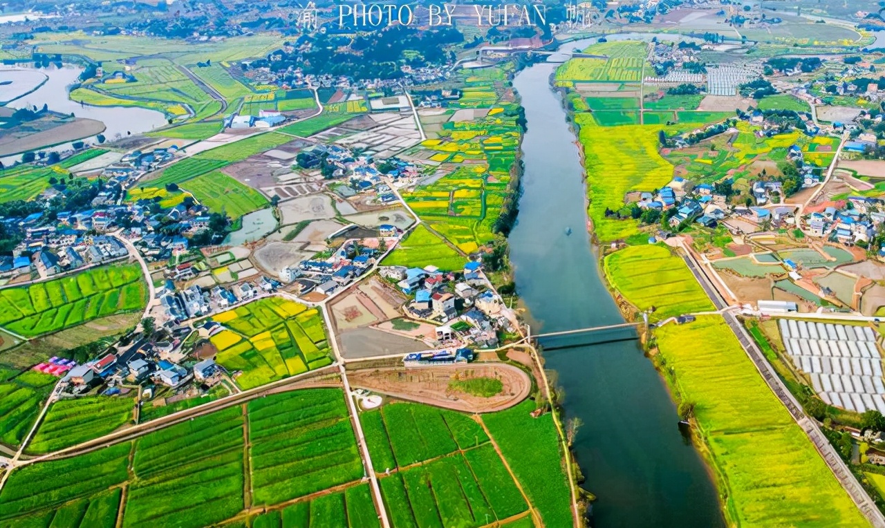Spring in Chongqing starts from Tongnan. The most beautiful sea of ...