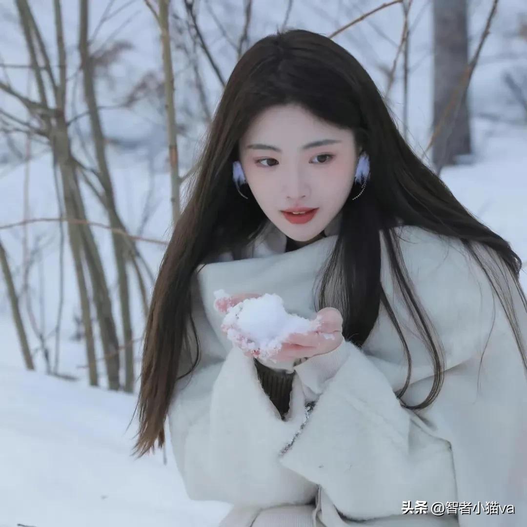 man fickle animal - iMedia