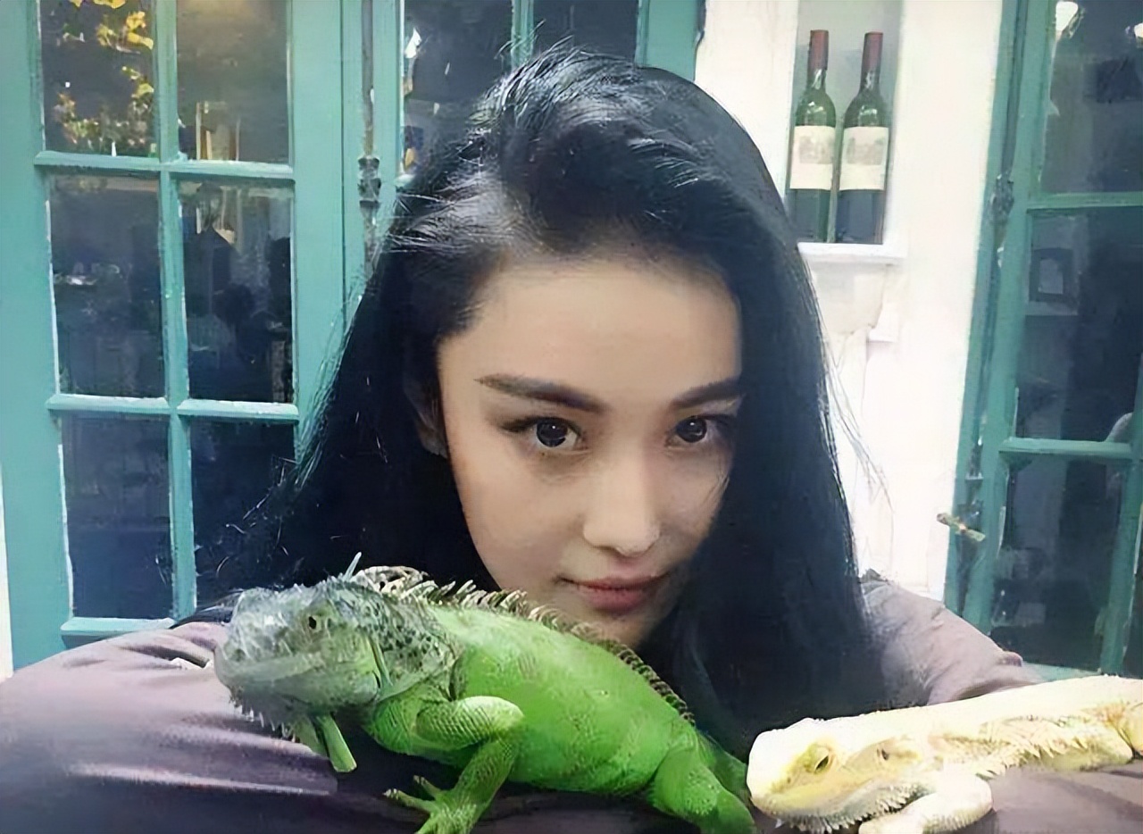What pets do celebrities keep?Li Bingbing is the scariest!Huo Siyan is the ugliest!Athena Chu ...