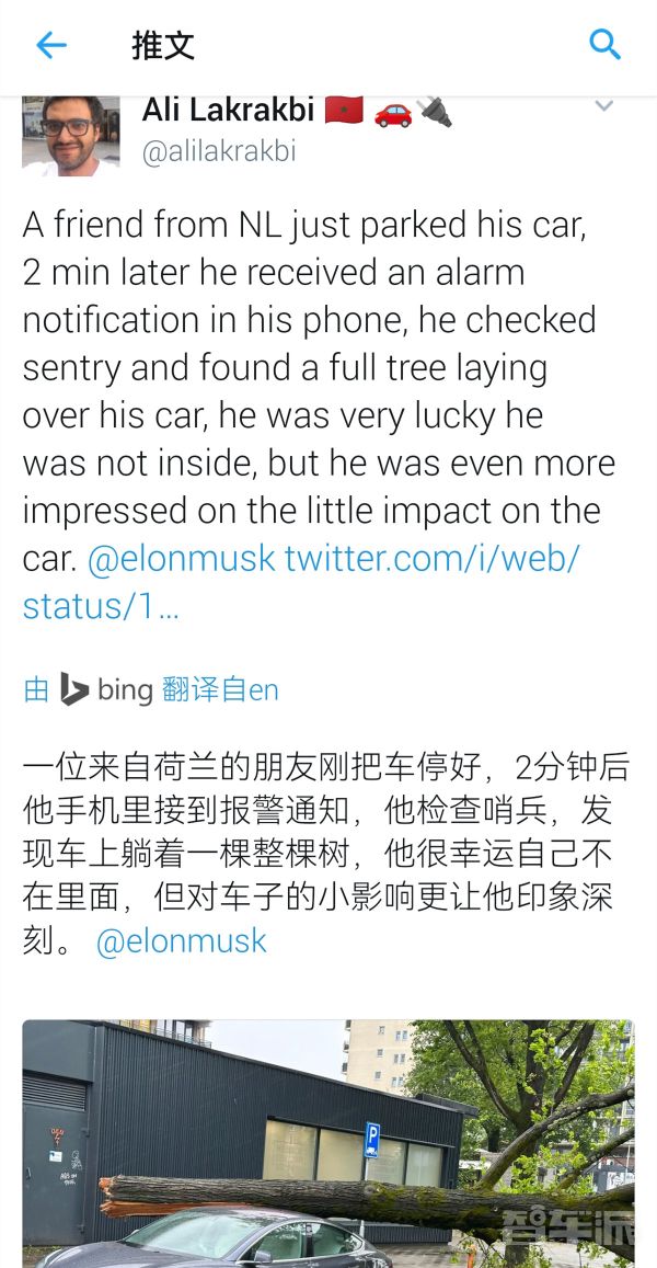 Tesla Model 3 survives storm after being hit by tree - iNEWS