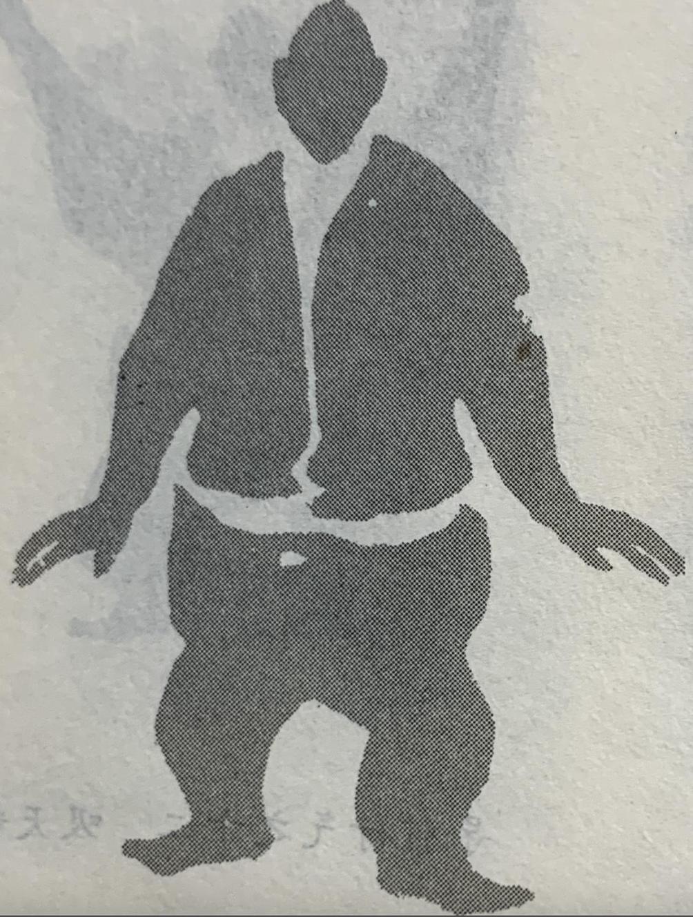 The 45-character essence of the earliest extant qigong theory "Xingqi ...