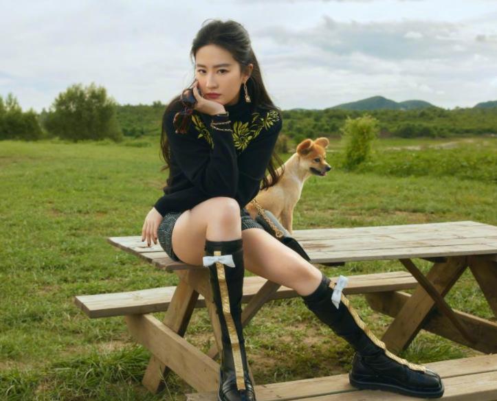 The fame history of "Little Dragon Girl" Liu Yifei, and the great mother Liu Xiaoli behind her ...