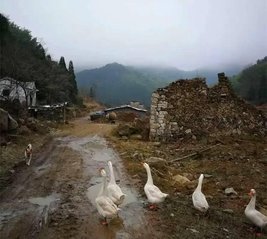 Demystifying Wenzhou "ghost village" incident, 76 people died strangely ...
