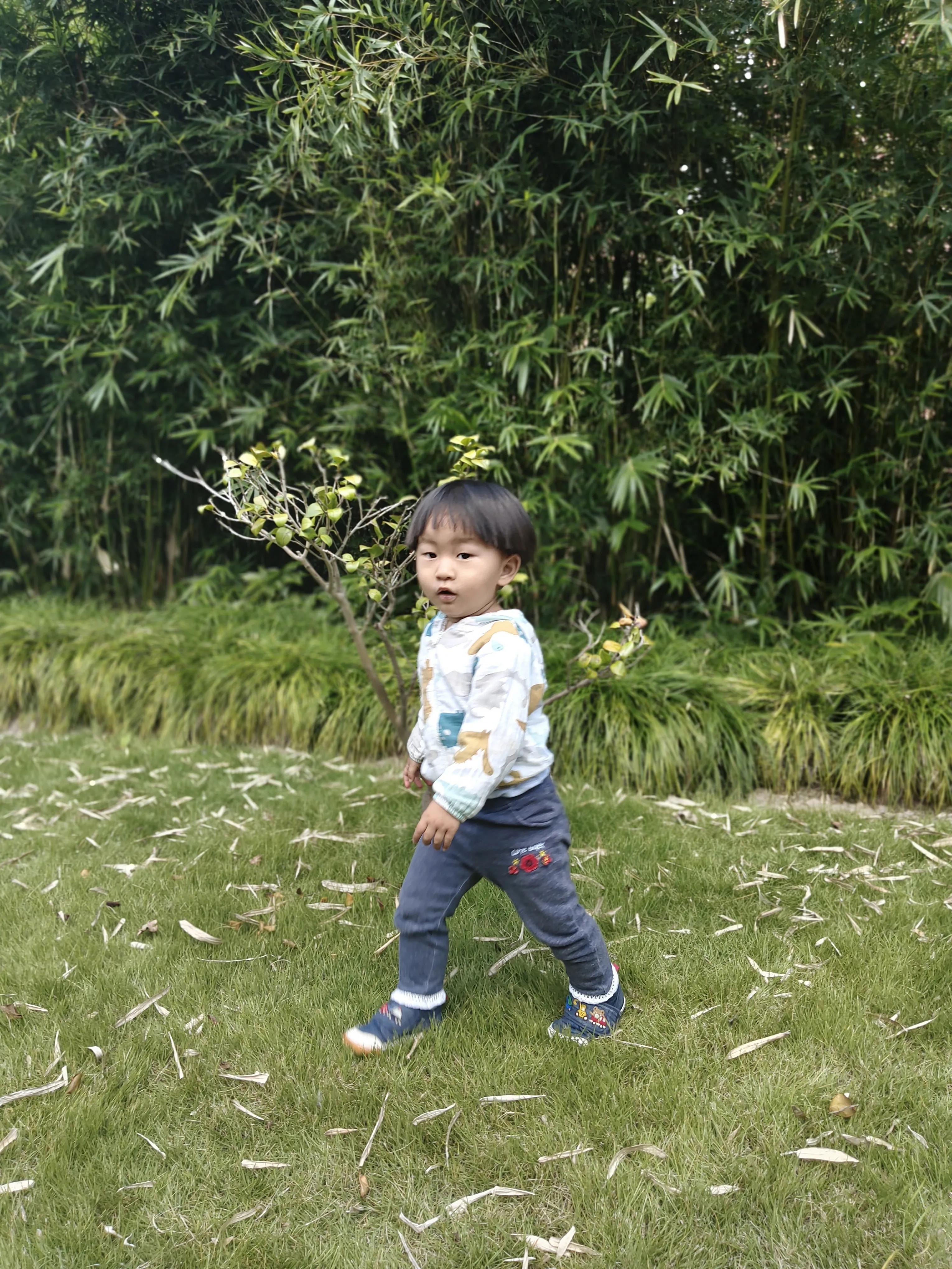 "Shanghai Liuwa" is a beautiful park in Shangnan area - iNEWS