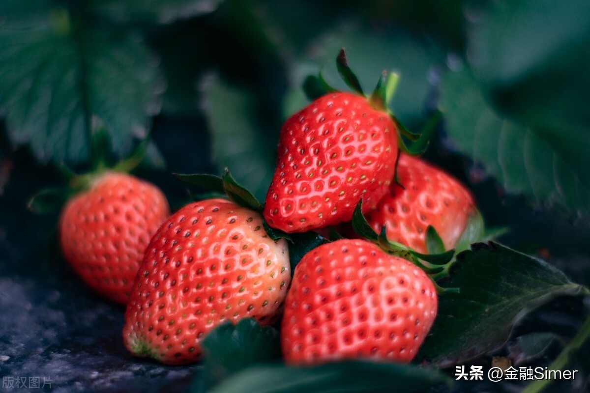 For eight consecutive years, it has ranked first in the list of the ...