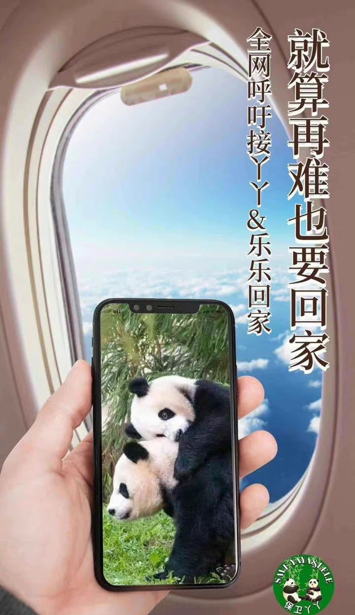 Panda Fu Wan hid in a corner after being splashed with water by ...