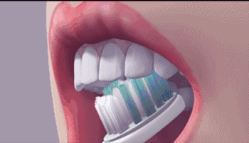 The correct way to brush your teeth The world's most standard brushing ...