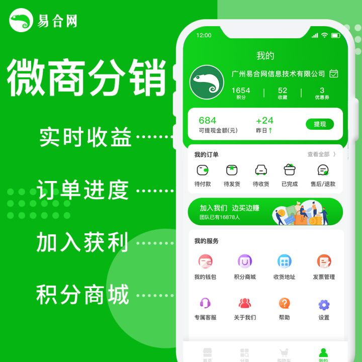 What are the benefits of the micro-business distribution system for ...