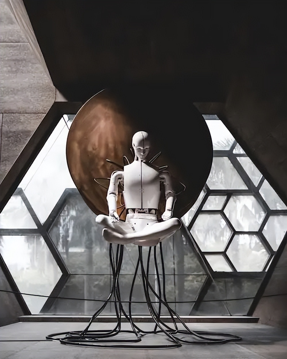 Descartes and the Information Cocoon: Accessing the Real World - iNEWS