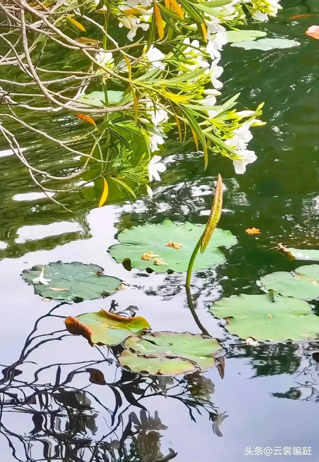 A place of self-cultivation - iNEWS