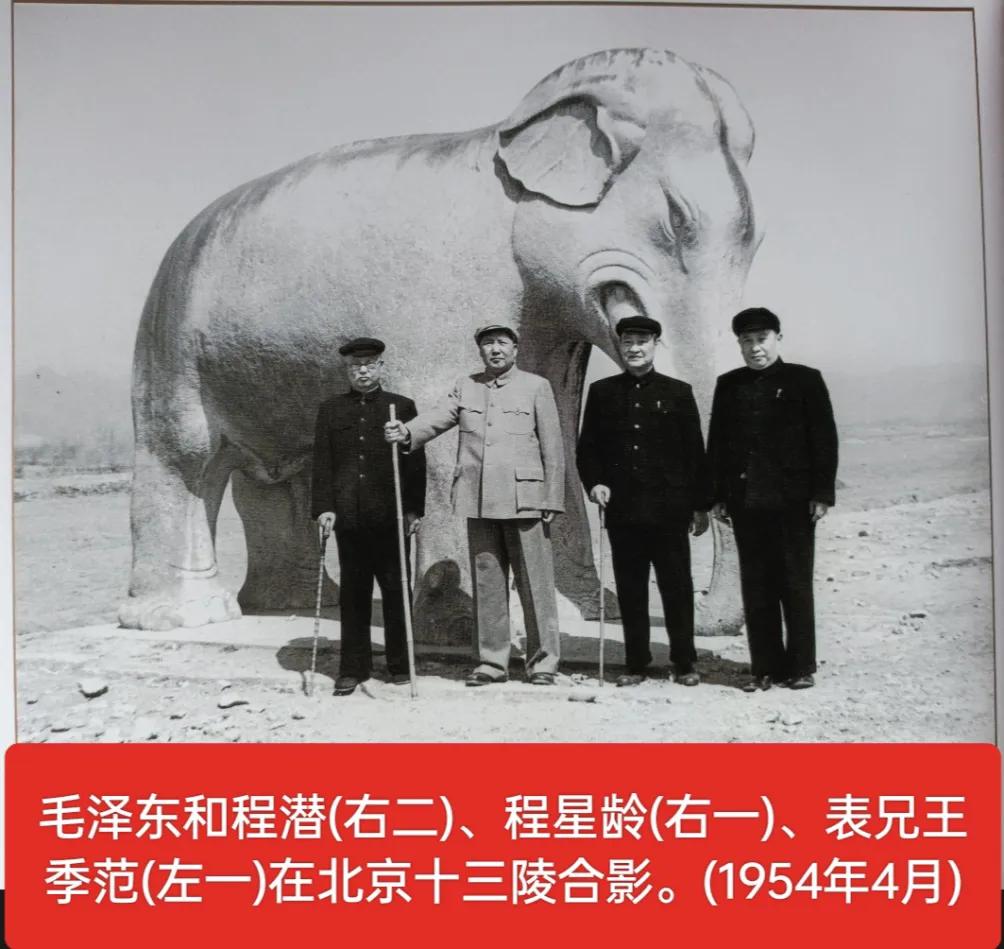 Mao Zedong's favorite thing: a bamboo stick that accompanied him to ...