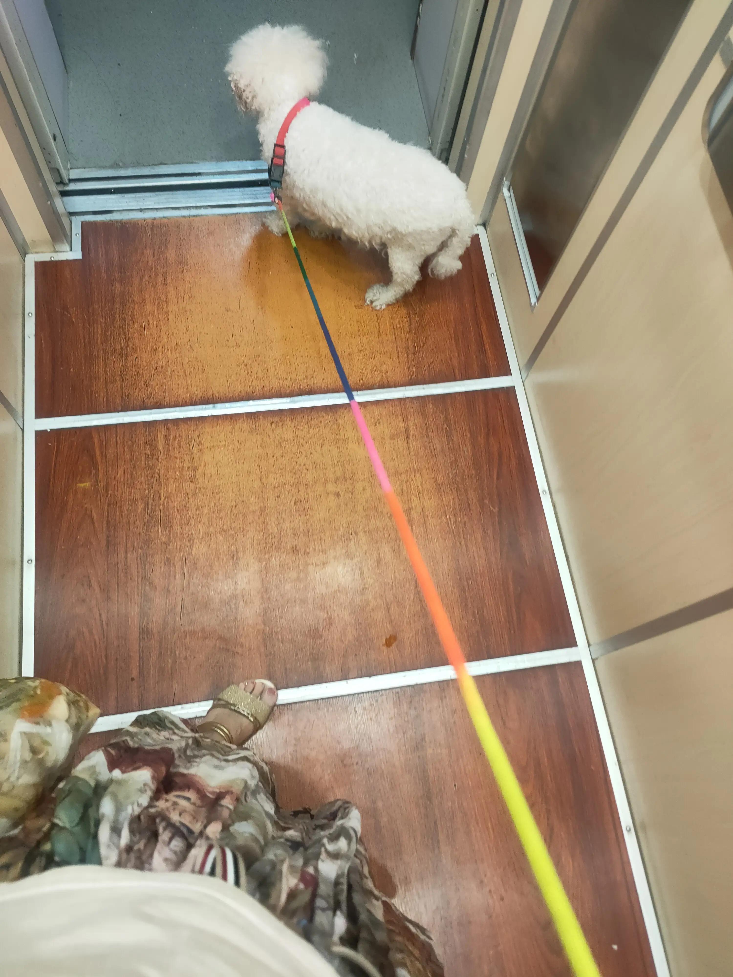 Sometimes what you see may not be true - iMedia