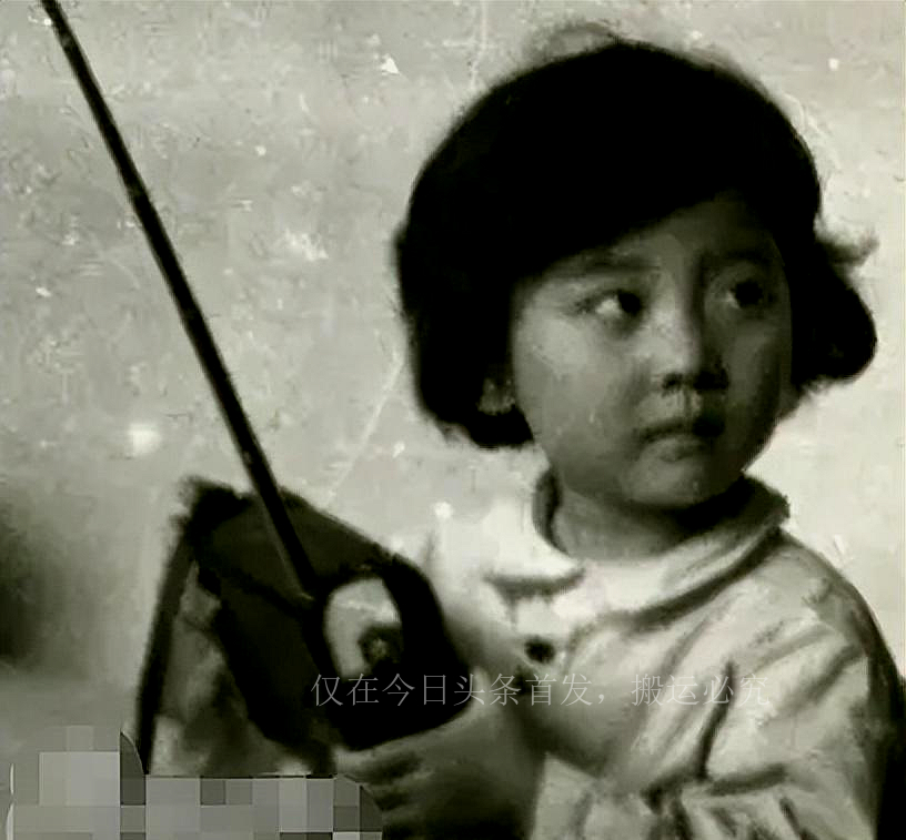 Mei Ting: Her first marriage failed, and her second marriage had a bad ...