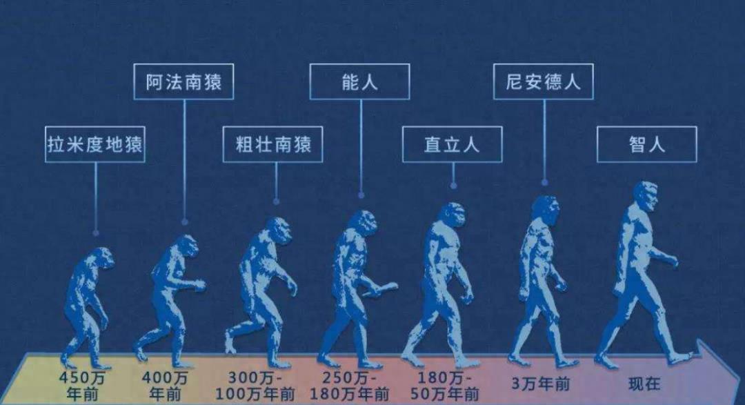 How will humans eventually disappear? Of the two possible answers ...