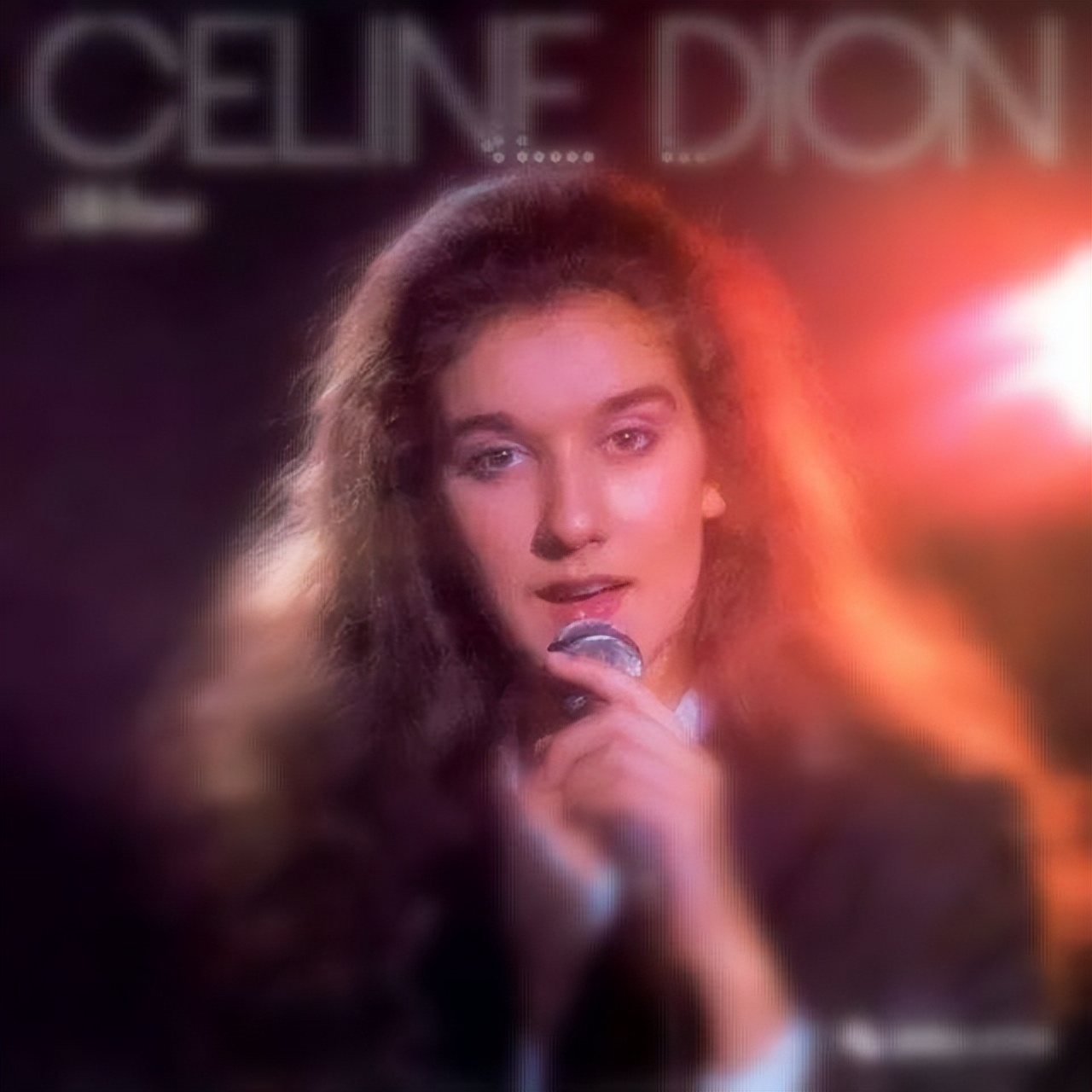 Celine Dion uses her marriage to tell us: love only one person in your ...