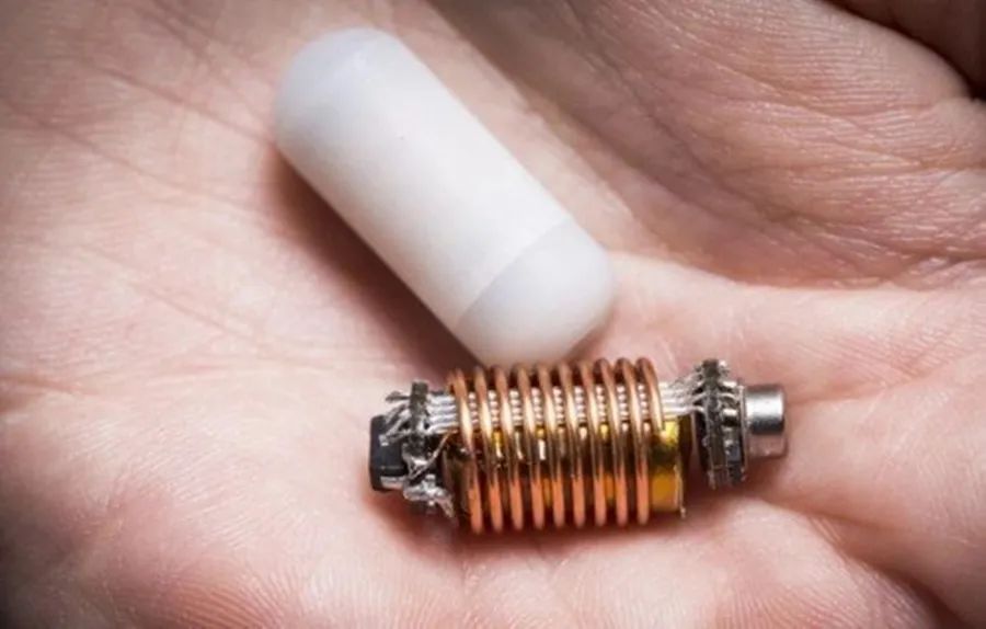 Chen Gen: A New Treatment for Intestinal Diseases - Ingestible ...