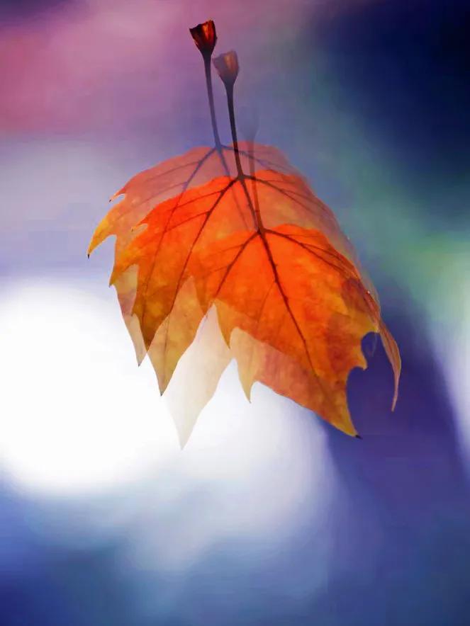 Rong Yu: Anecdotal anecdotes about marriages that have been circulated ...