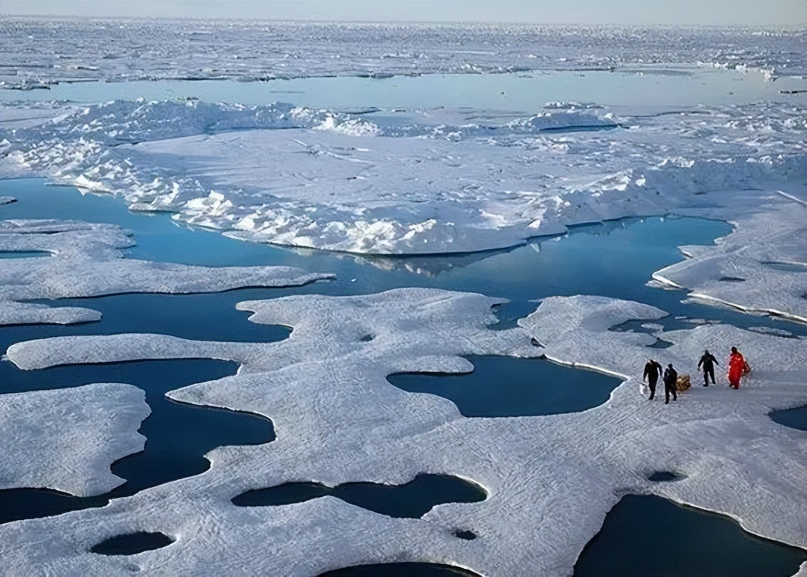 Northeast climate abnormal? Stand against global warming! It may be ...