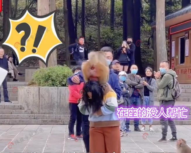 A woman was attacked by a monkey when she was visiting a scenic spot. A ...