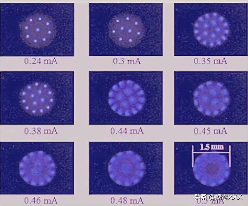 Plasma life, oil droplet life, and perhaps other forms of life have ...