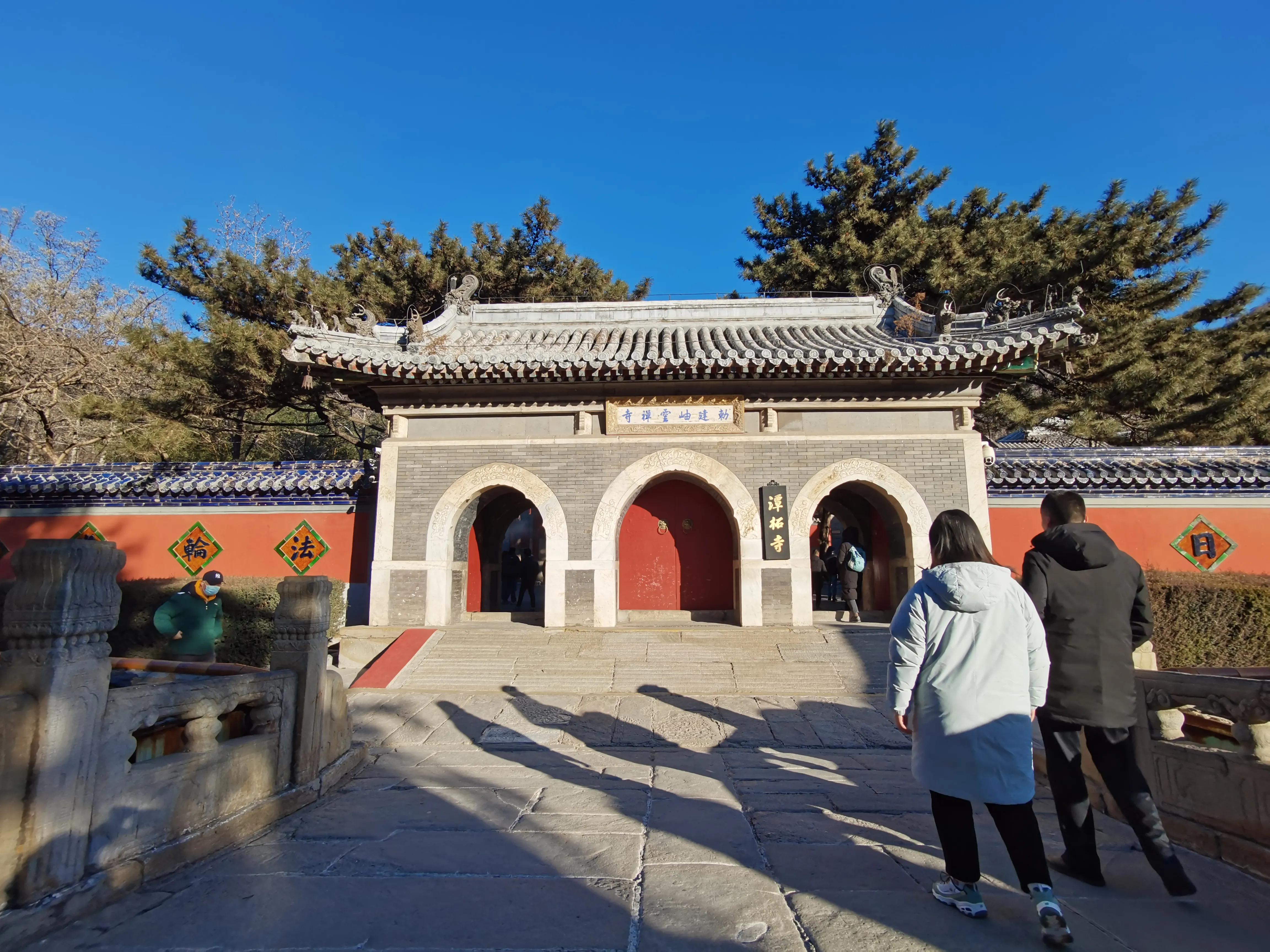 Remember the ancient trees of Tanzhe Temple in Beijing - iNEWS