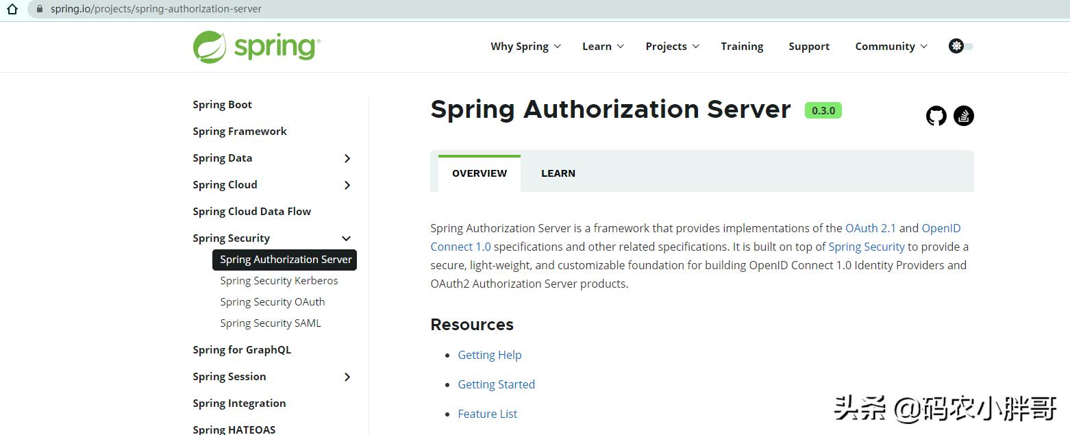 Spring Authorization Server 0.3.0發布，文檔上線，需要java 11 - 資訊咖