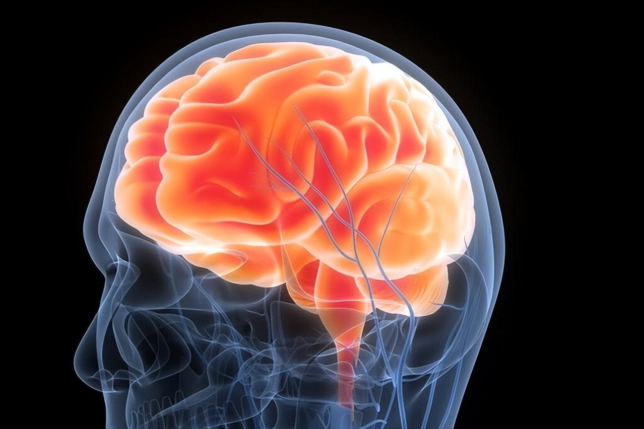 Analysis of the chemical constituents of the snake venom and the ...