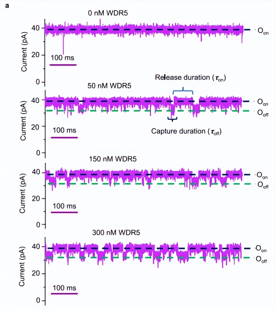 "Nature Sub-Journal": Nanopore Sensor--Single Molecule High Specific Label-Free Protein ...