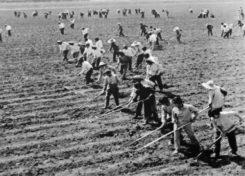 In the era of large-scale collective production by the people's ...