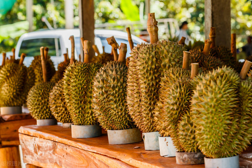 After Thailand and Vietnam, Philippine durian is coming!"Durian Freedom ...
