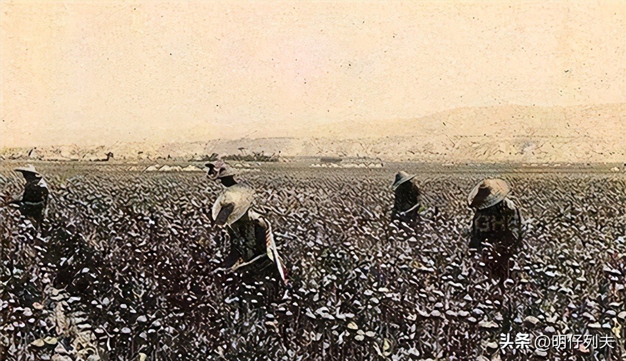 How strong were Britain and France that defeated the Qing Dynasty in ...