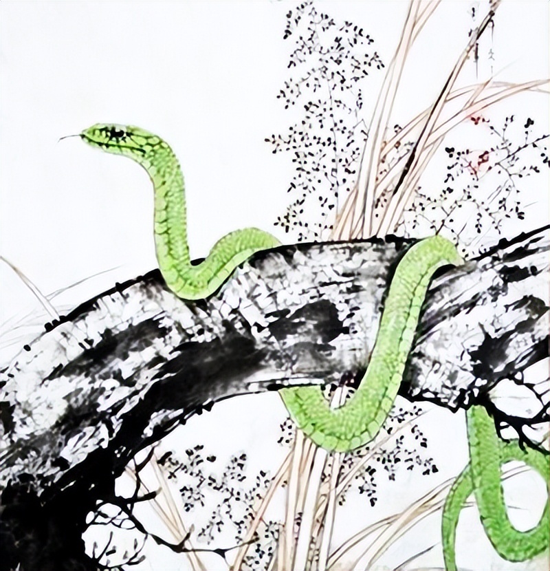 Whose wife belongs to the following 3 zodiac signs, which is the ...