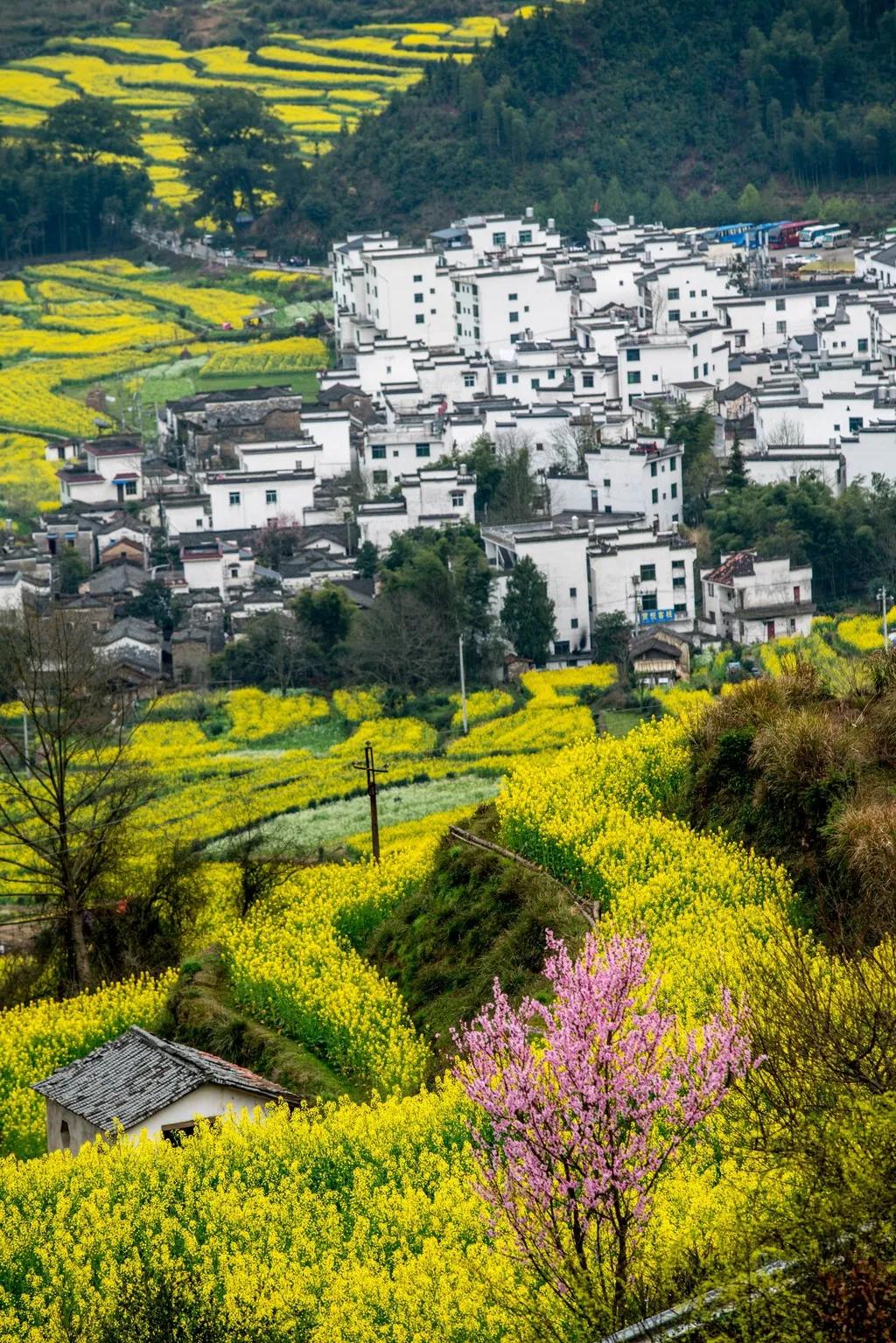 Huang Huafu - iMedia