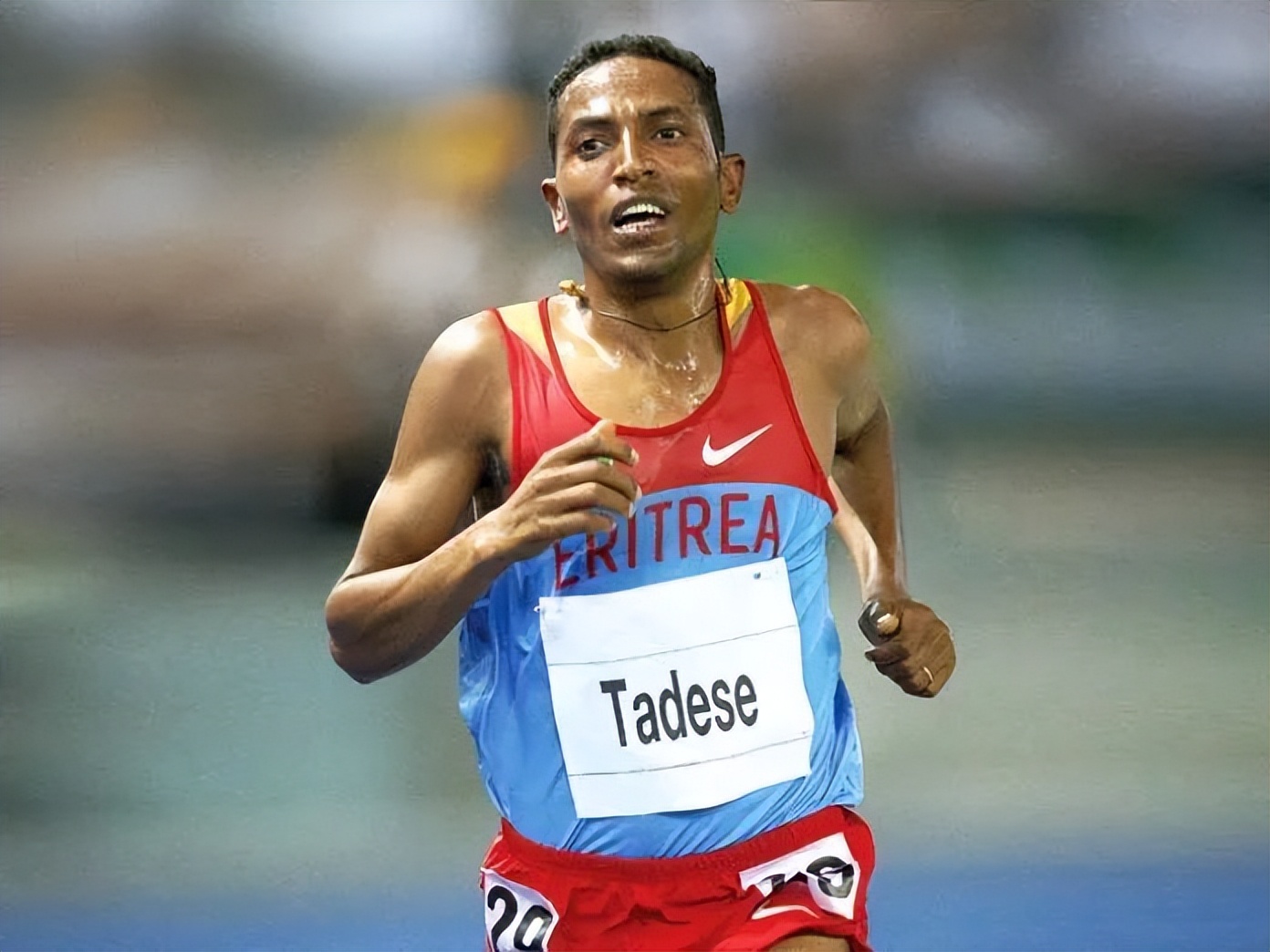 The Physiological Traits of the World's Top Distance Runners - iNEWS