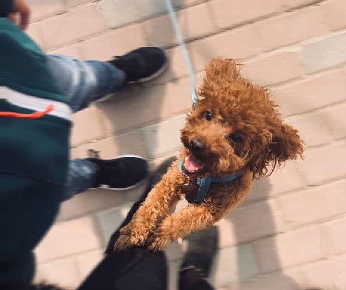 You may not know all the 7 manifestations of Teddy treating you as a ...