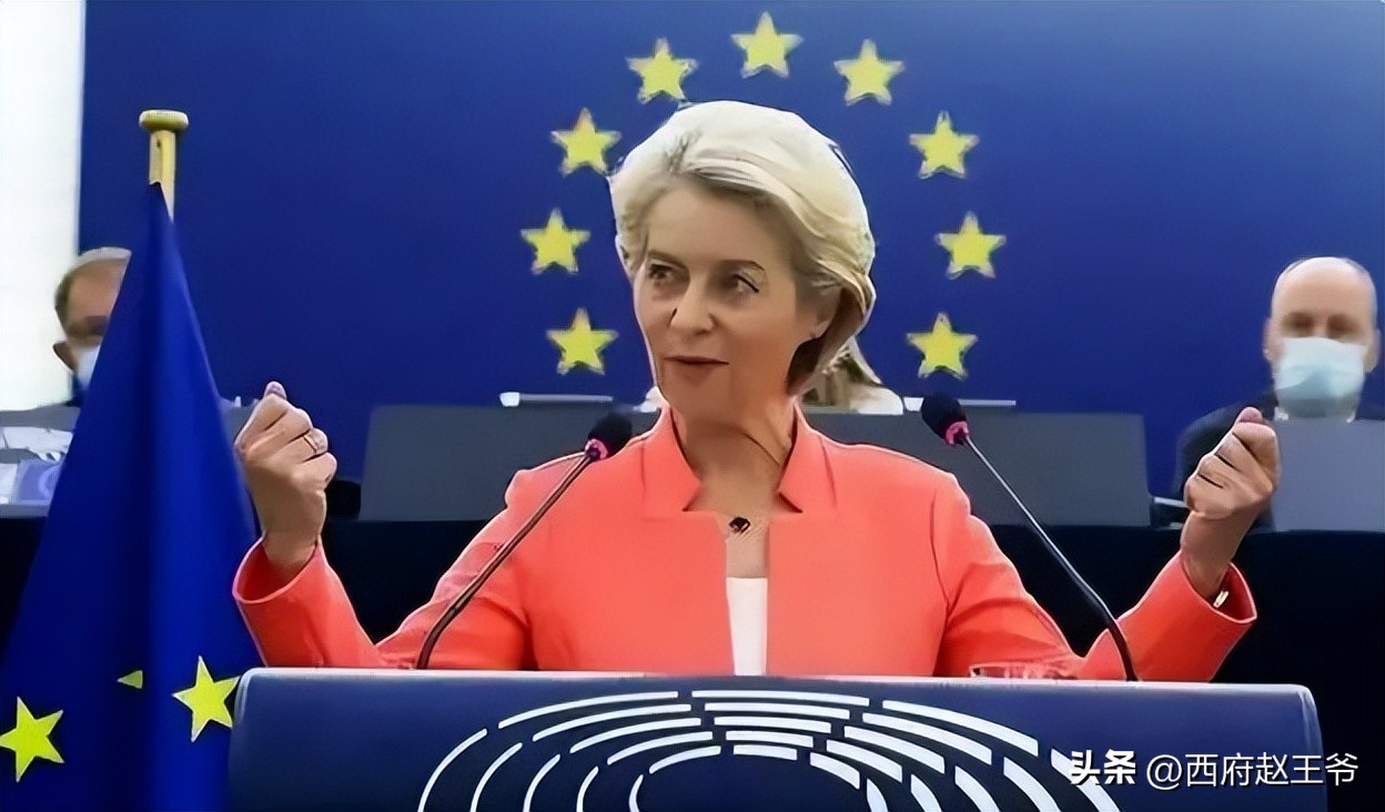 The European Union is also a soft bone, and the anti-monopoly is left ...