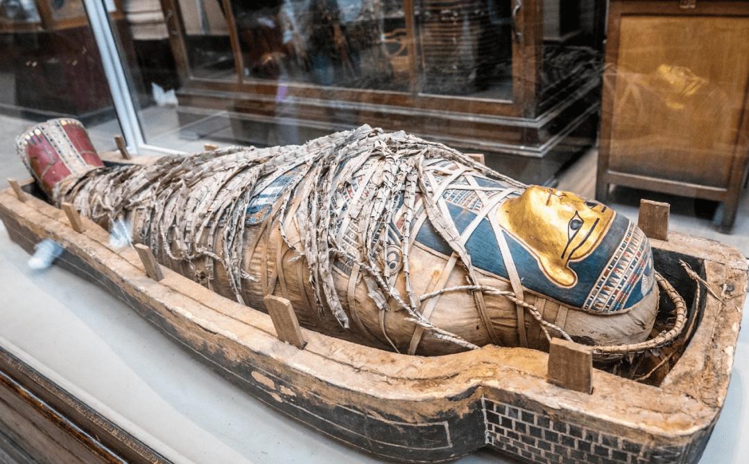 What does a mummy taste like?- Fun History of Mummies - iNEWS